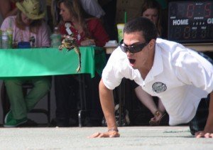 Calaveras County Fair and Jumping Frog Jubilee