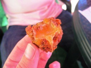 Alameda County Fair In Pleasanton California