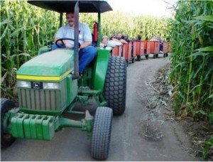 Dell’Osso Family Farm Corn Maze, Pumpkin Blaster And Fall Attractions ...