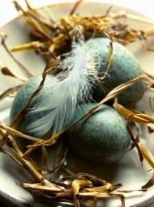 June 3rd Is National Egg Day